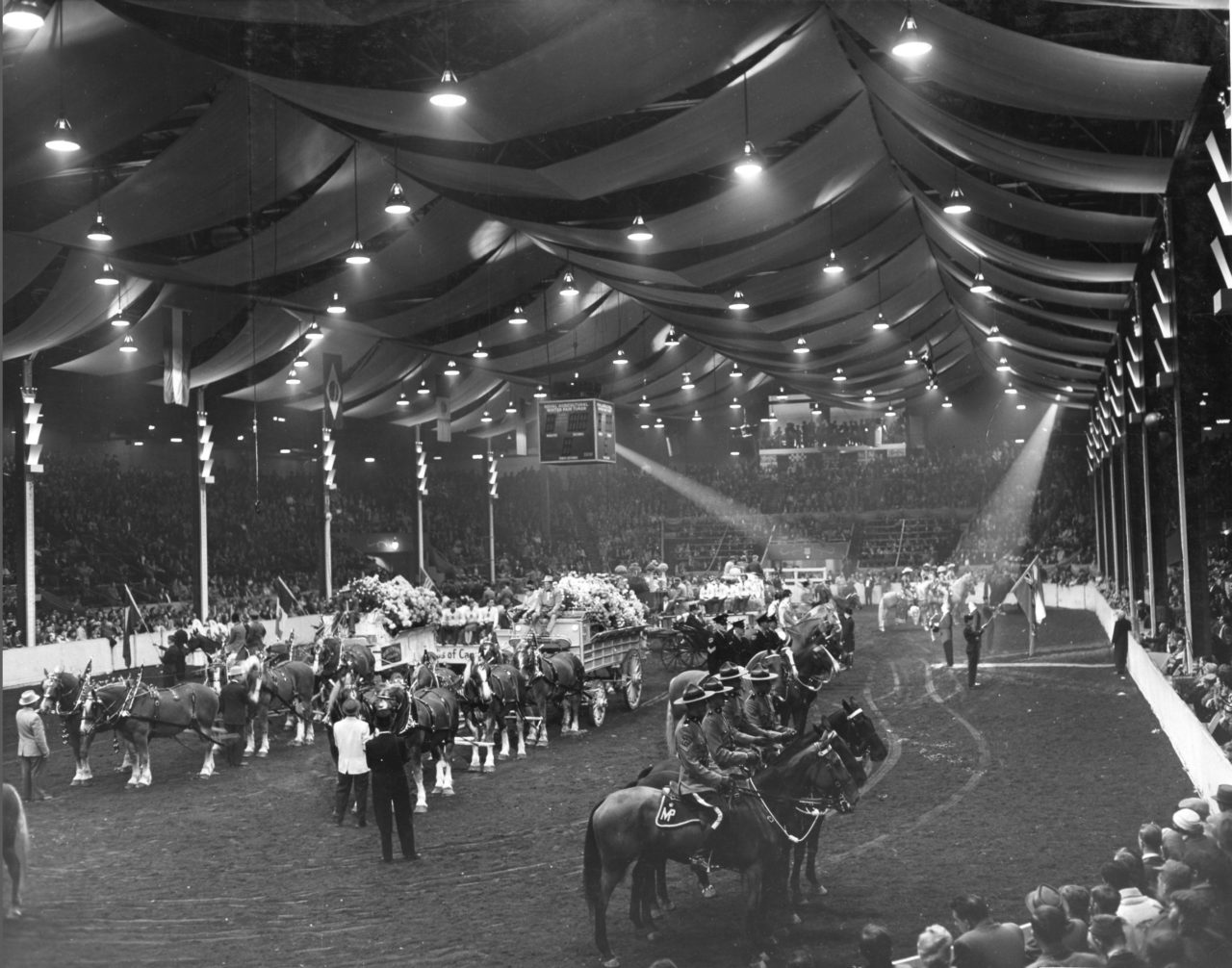 About the Royal • The Royal Agricultural Winter Fair