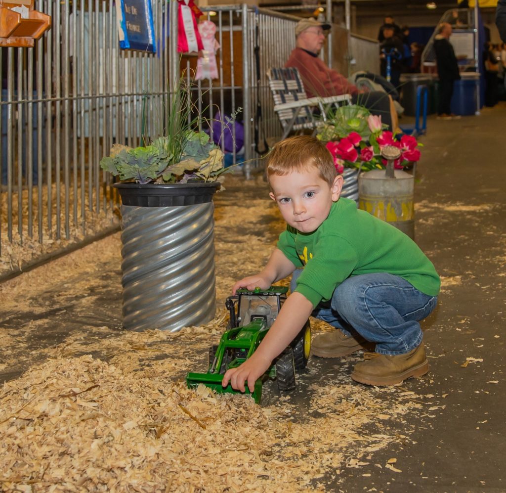 Entertainment & Attractions • The Royal Agricultural Winter Fair