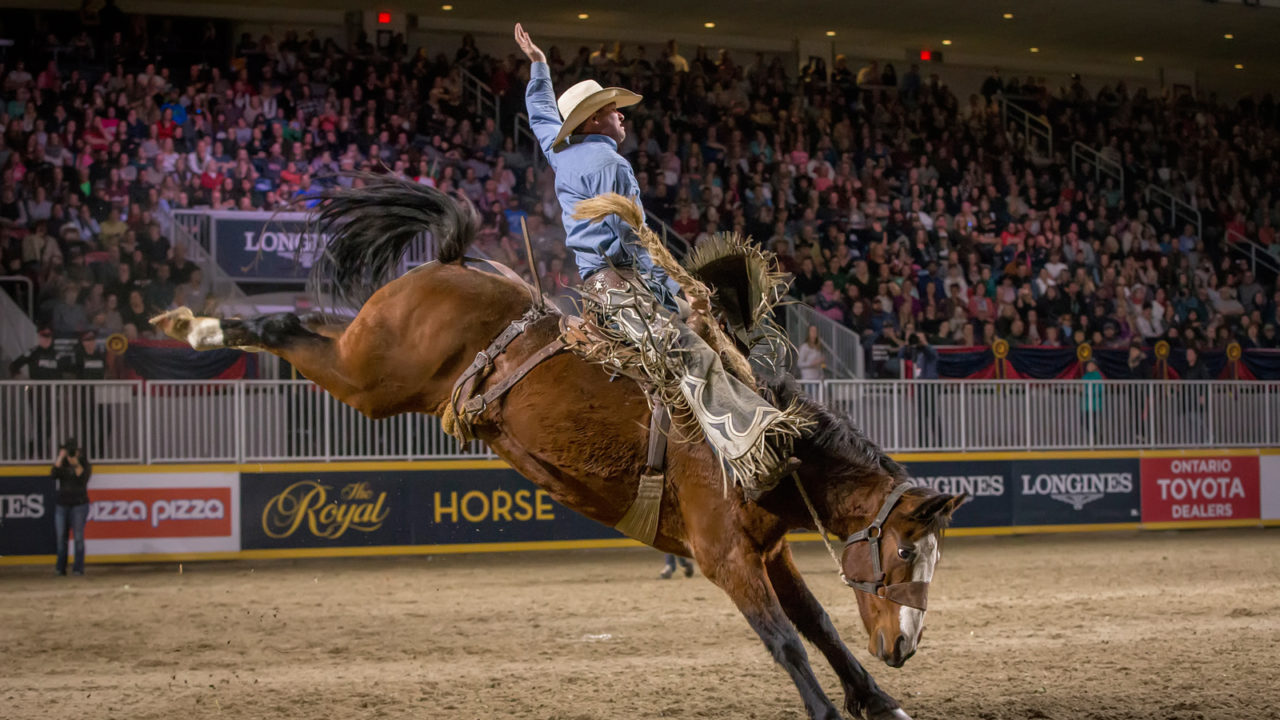 Sunday, November 13, 2022 - Matinee • The Royal Agricultural Winter Fair