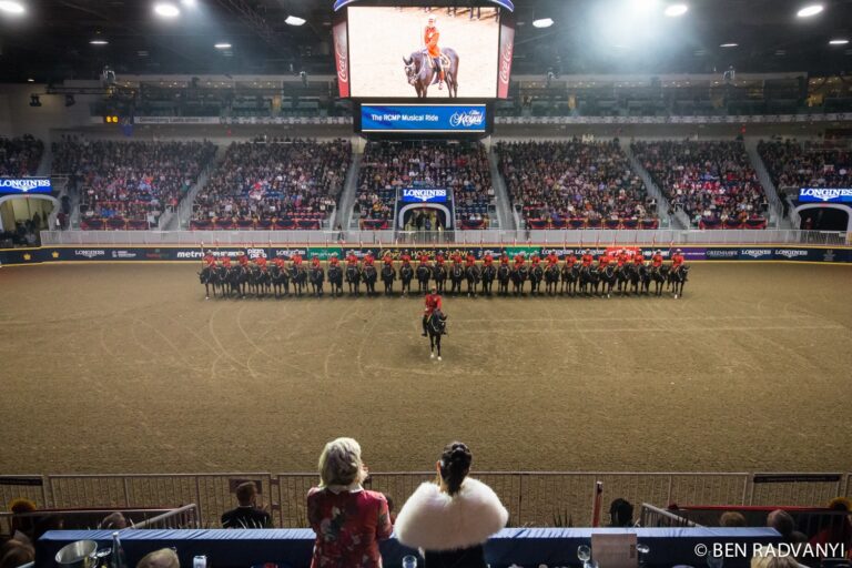 Horse Show Entertainment • The Royal Agricultural Winter Fair