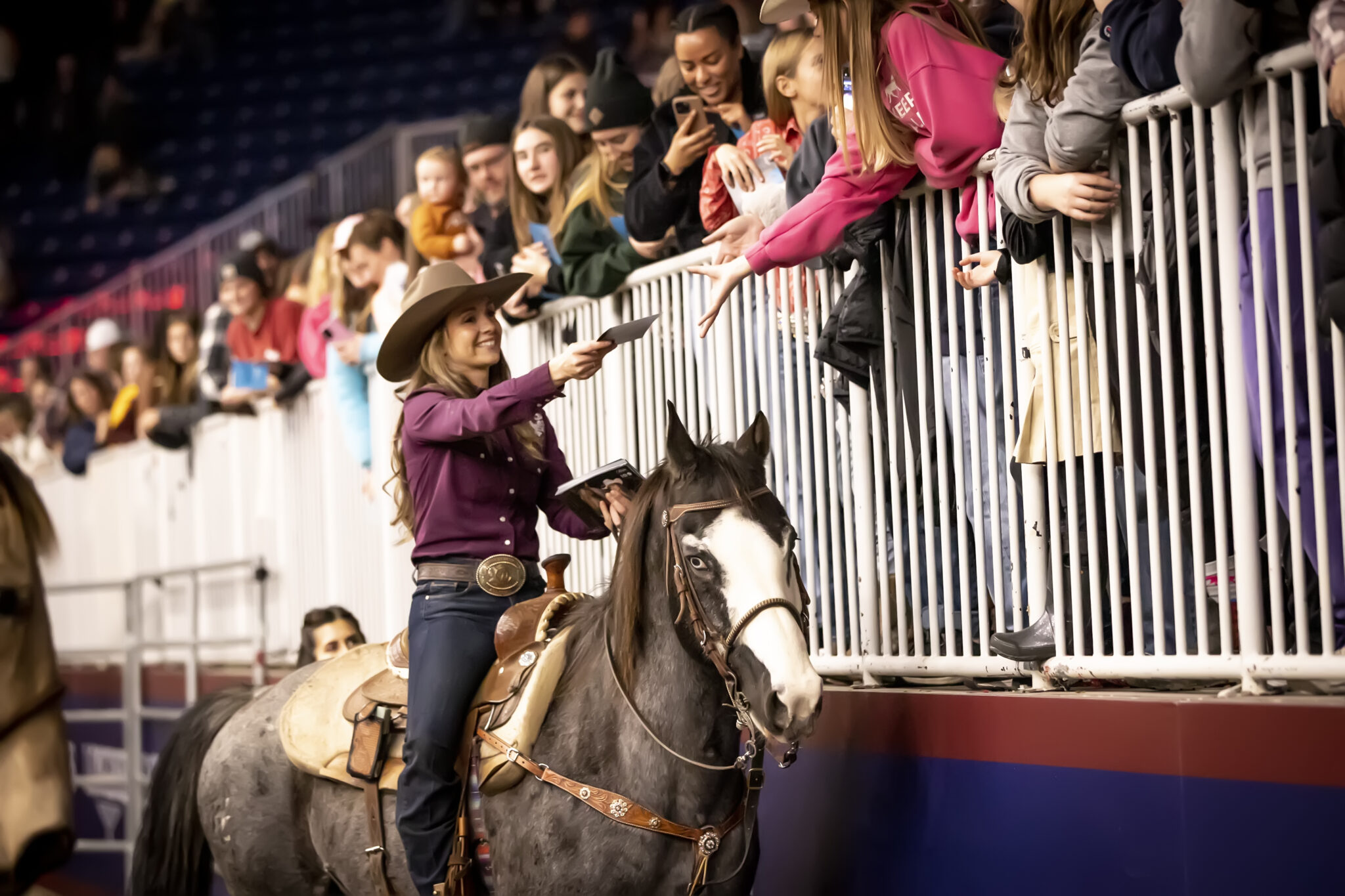 Horse Show Entertainment • The Royal Agricultural Winter Fair