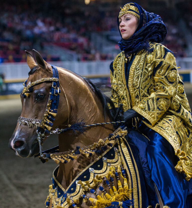 Horse Show Entertainment • The Royal Agricultural Winter Fair