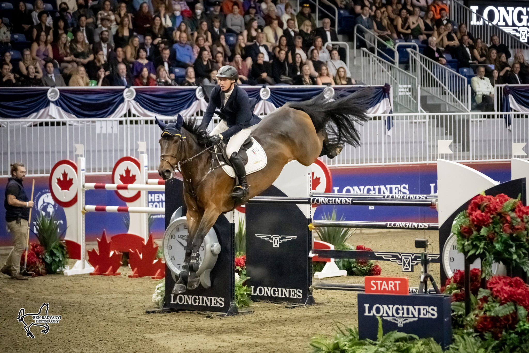 Royal Horse Show News • The Royal Agricultural Winter Fair