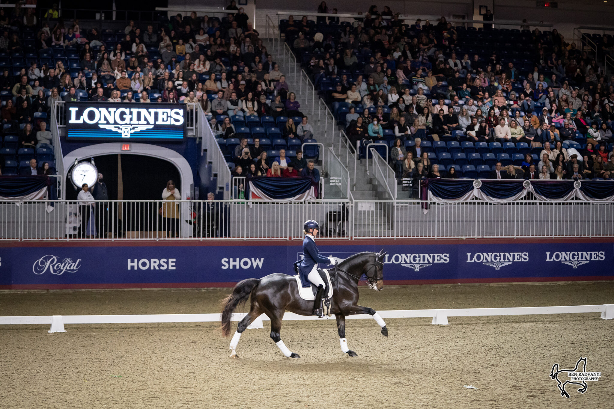 Royal Horse Show News • The Royal Agricultural Winter Fair