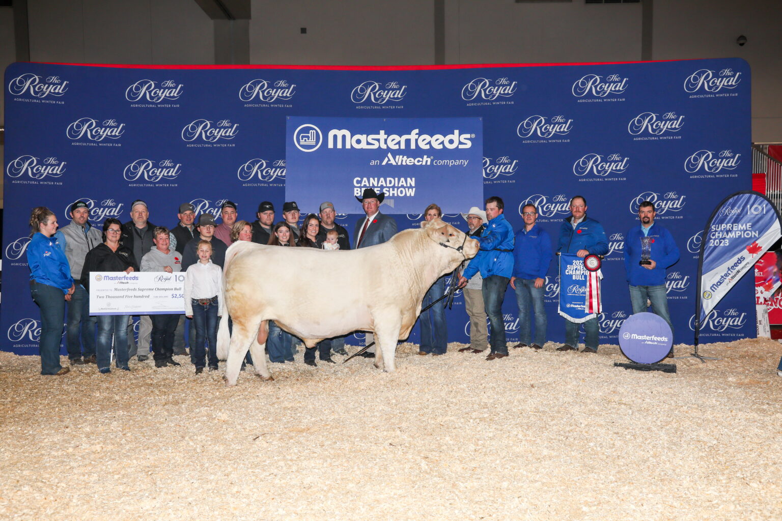 Beef Supreme Show • The Royal Agricultural Winter Fair