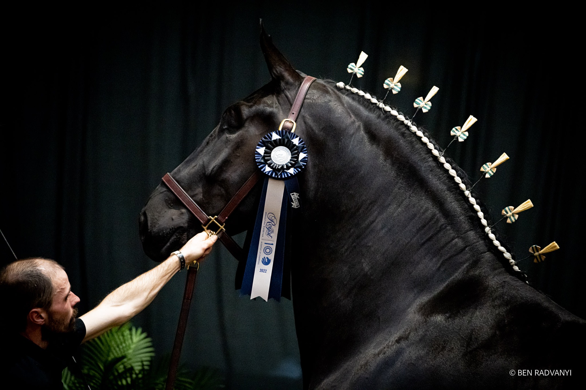 The Royal Horse Show • The Royal Agricultural Winter Fair