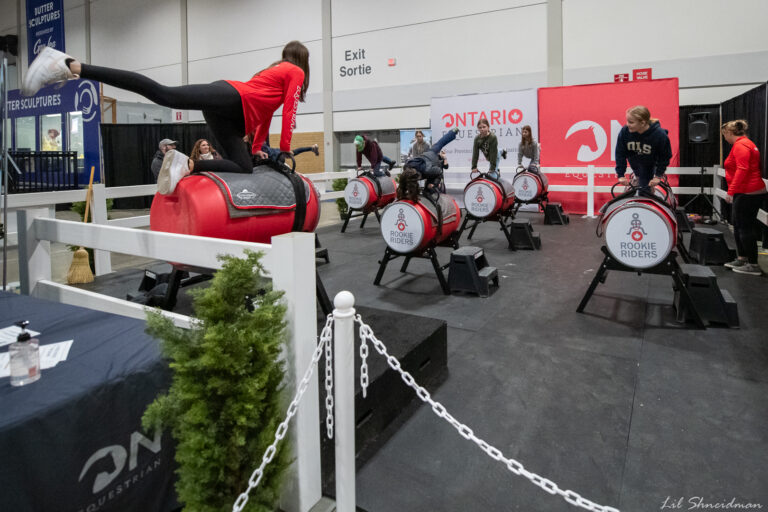 Farm & Play Zone • The Royal Agricultural Winter Fair