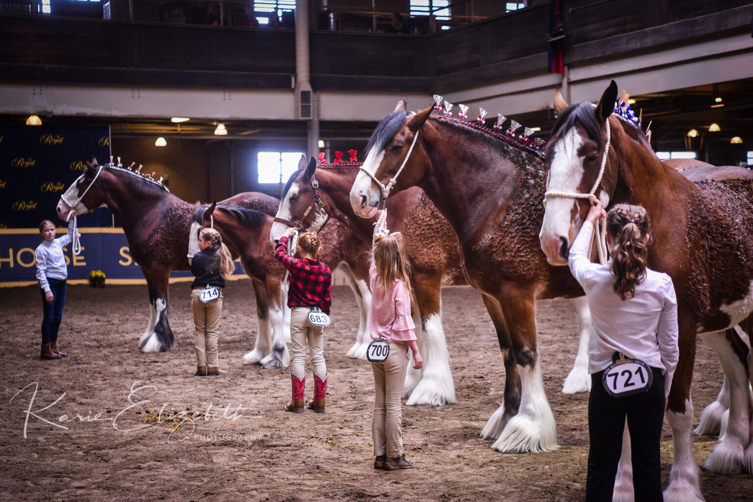 The Royal Horse Show • The Royal Agricultural Winter Fair