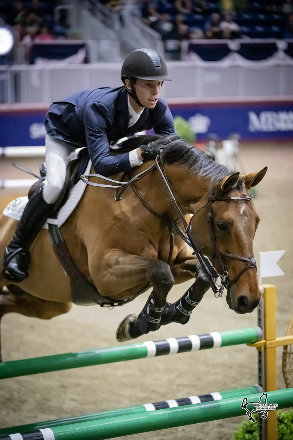 Royal Horse Show News • The Royal Agricultural Winter Fair