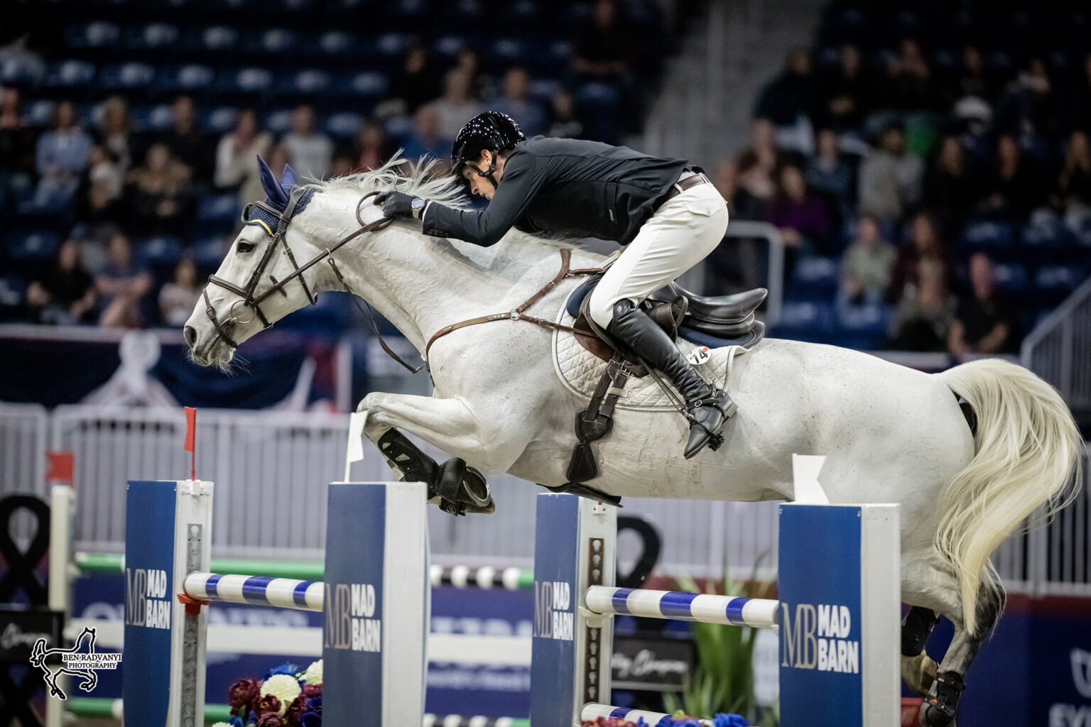 Royal Horse Show News • The Royal Agricultural Winter Fair