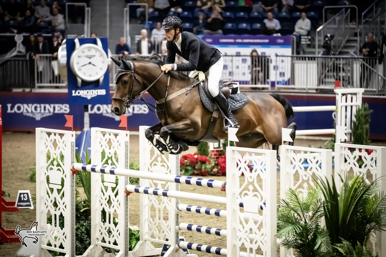 Royal Horse Show News • The Royal Agricultural Winter Fair