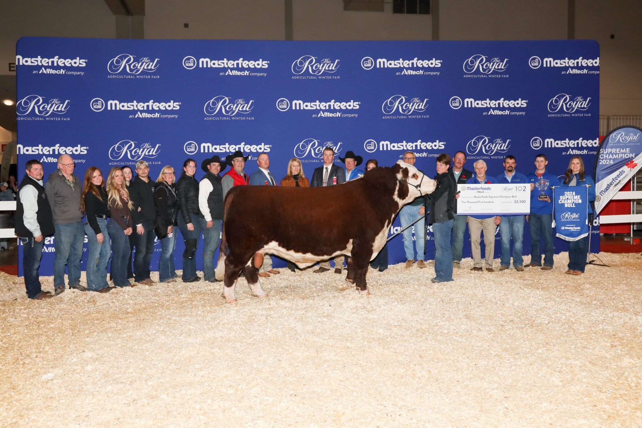 Beef Supreme Show • The Royal Agricultural Winter Fair