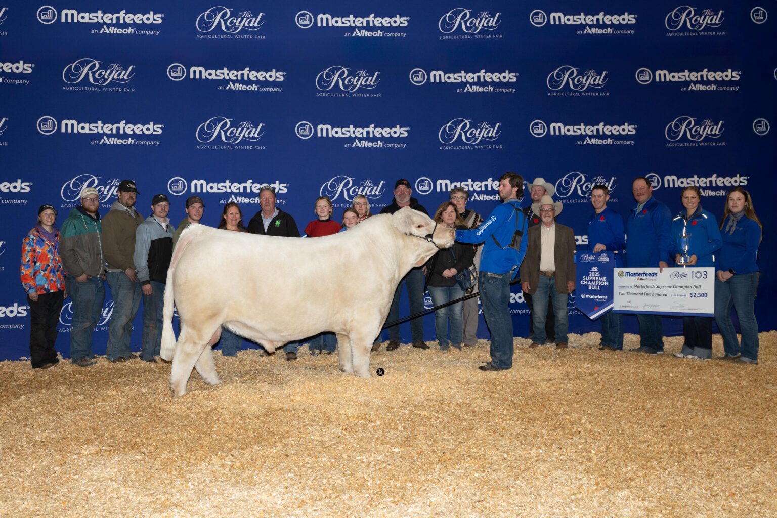 Beef Supreme Show • The Royal Agricultural Winter Fair